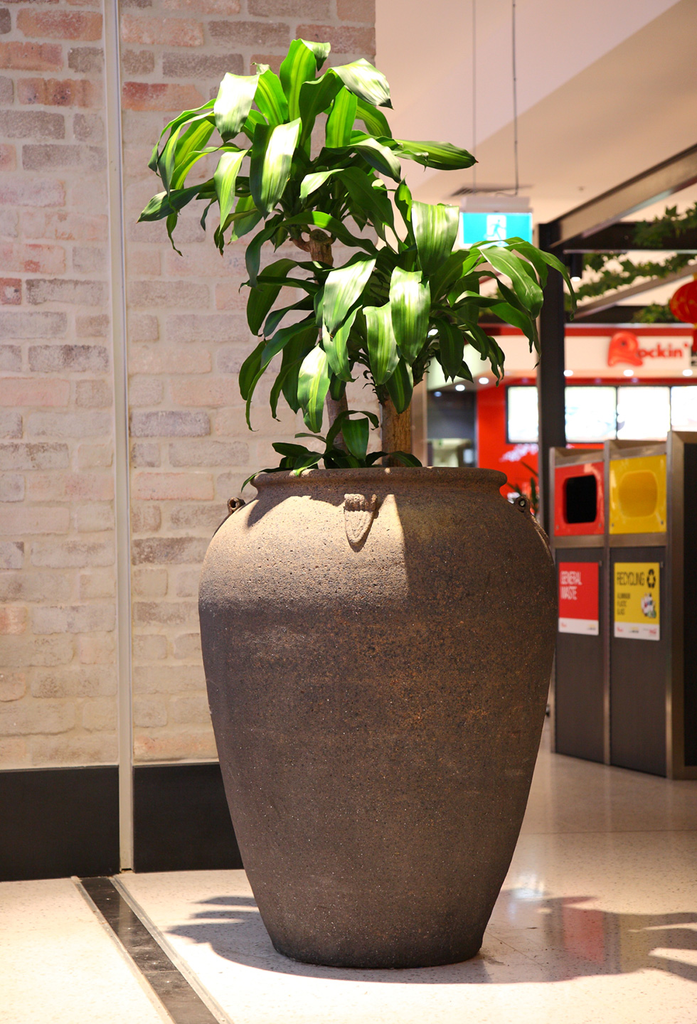 Westfield Shopping Centre Hurstville | Kellock Pots & Planters Pty Ltd