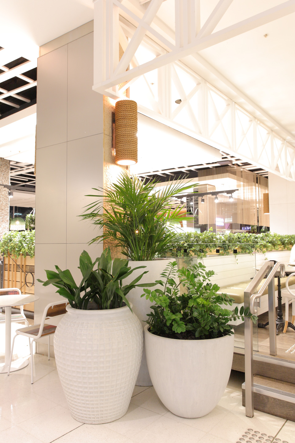 Westfield Shopping Centre Bondi Junction | Kellock Pots & Planters