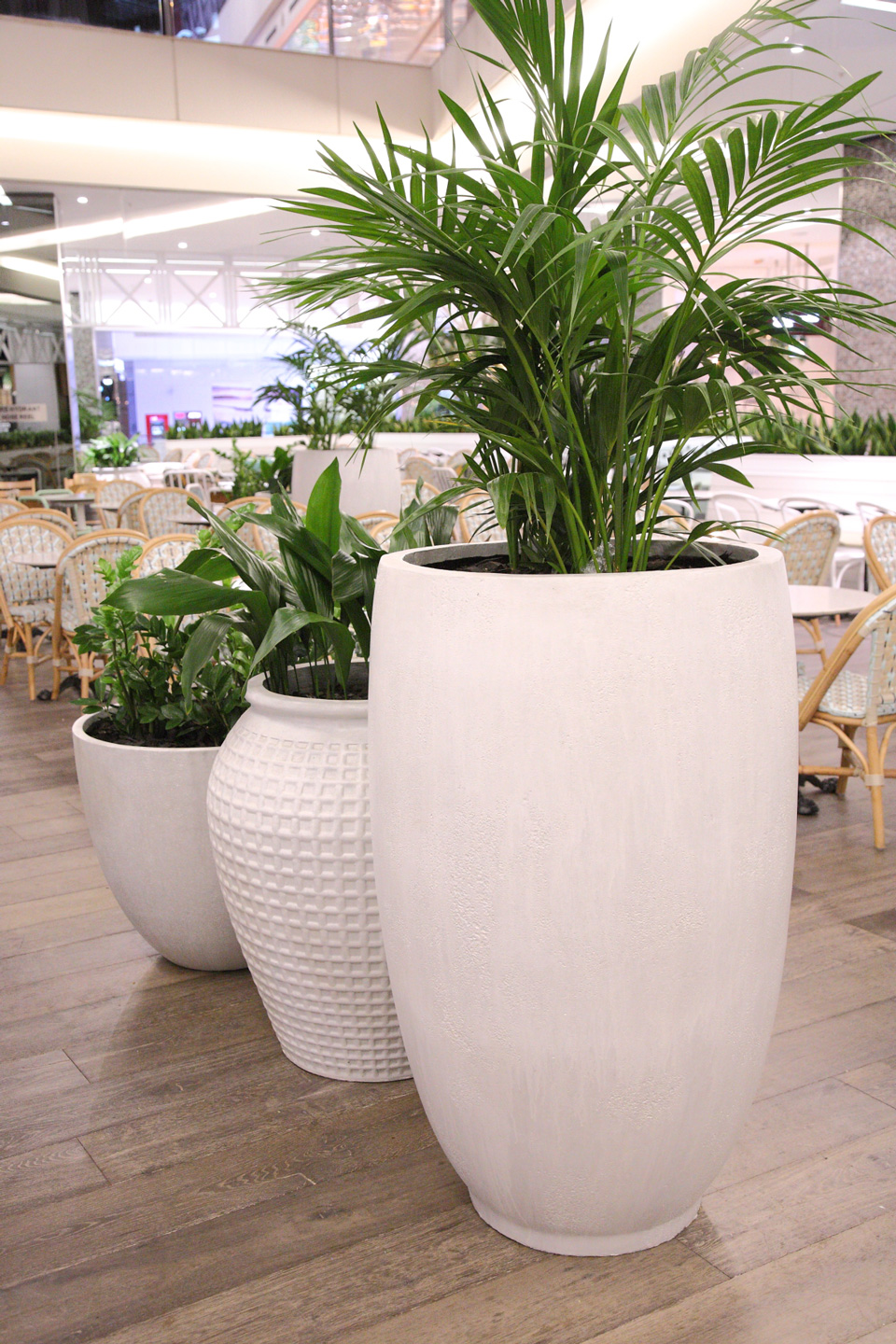 Westfield Shopping Centre Bondi Junction | Kellock Pots & Planters